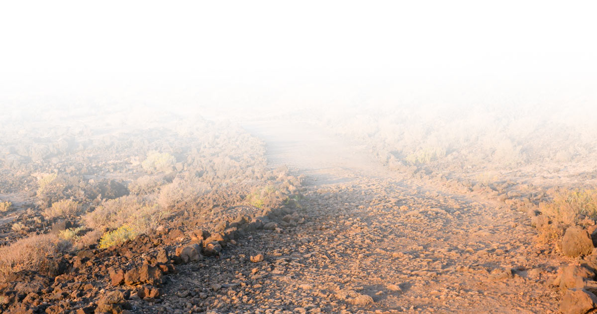 Home - Battle Born Design